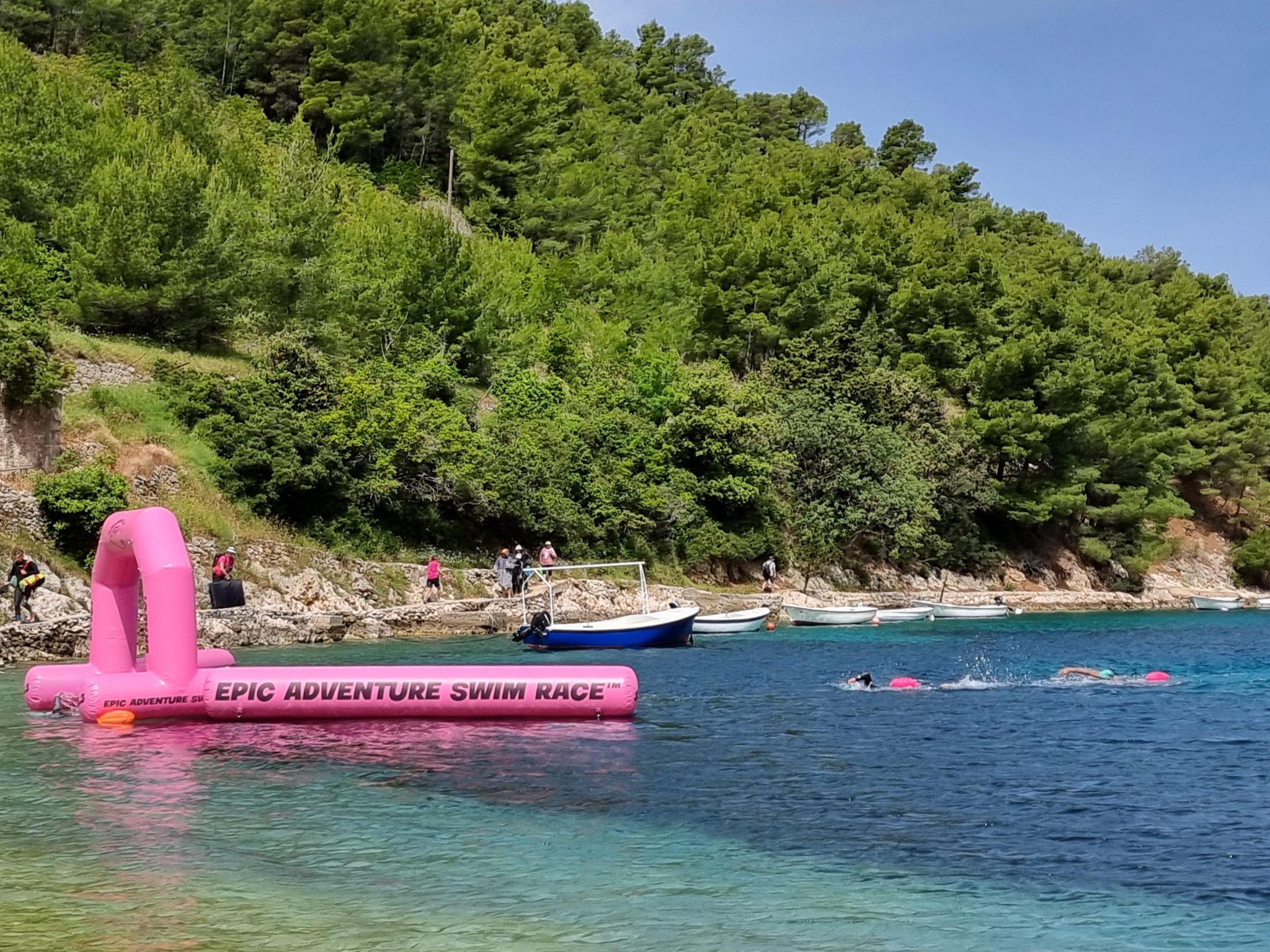 Renaissance Swimmer – A project for people who want to make the most of ...